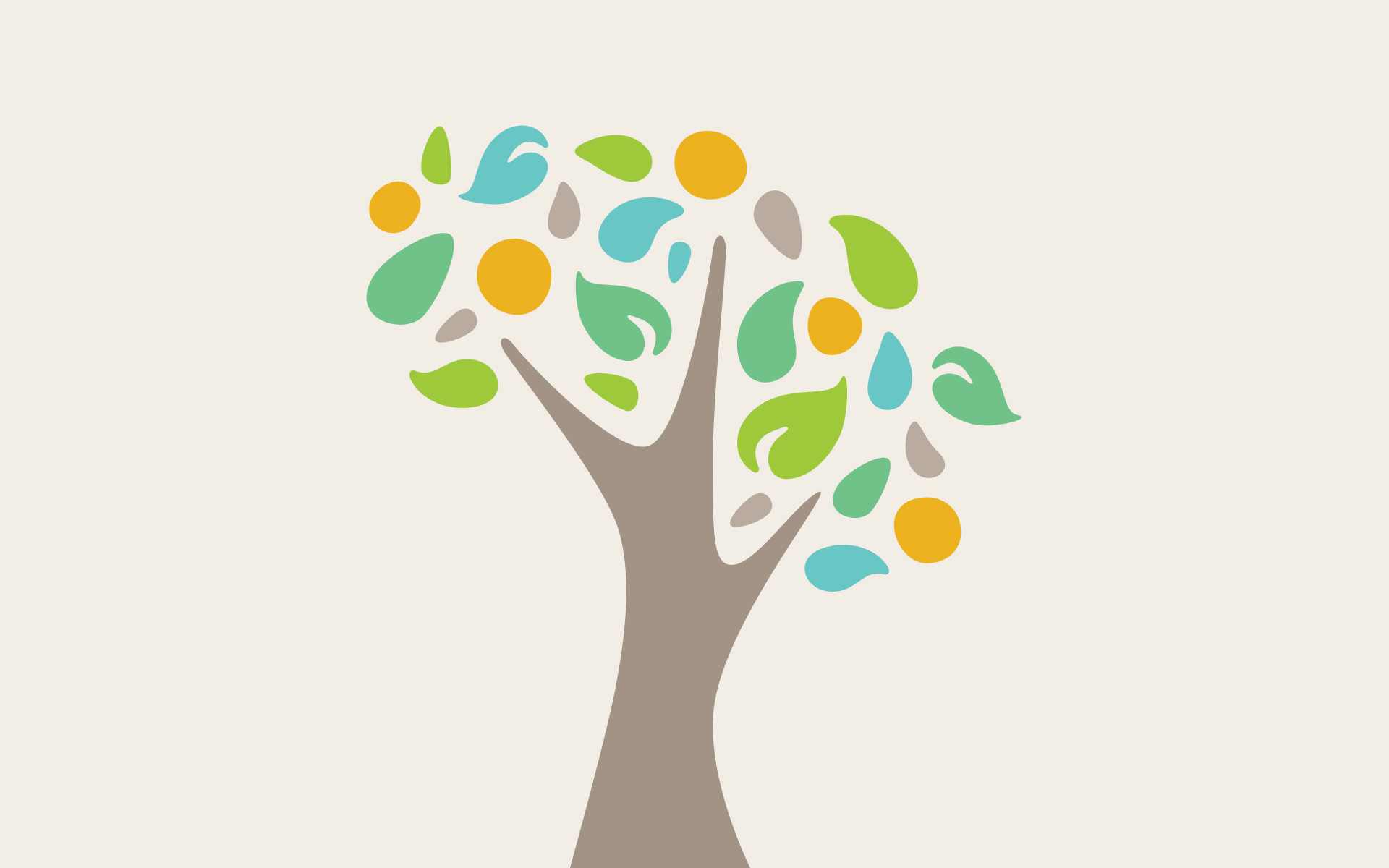 The Early Learning Coalition of Pasco and Hernando Counties celebrates ...